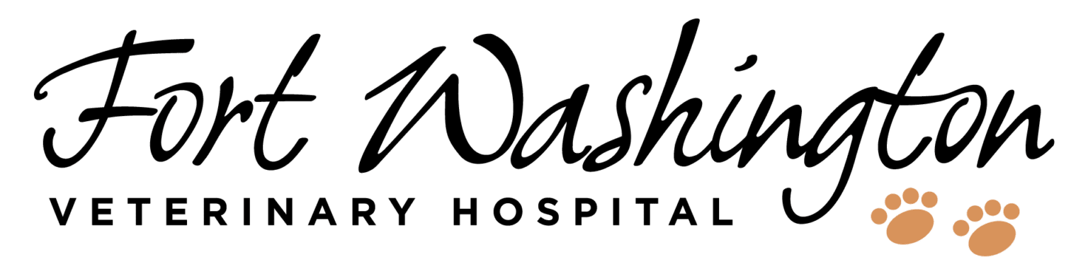 Annual 4DX Testing for Dogs | Fort Washington Vet Hospital